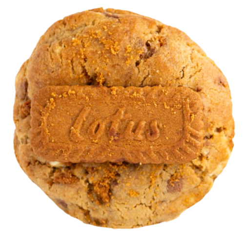 Lotus Cookies – Chocodoh